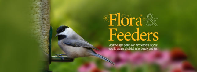 Wild Birds Unlimited - Nature Shop