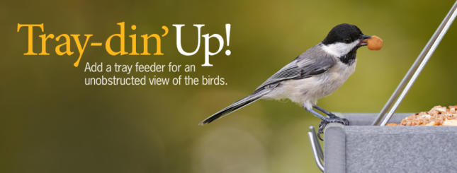 Wild Birds Unlimited - Nature Shop